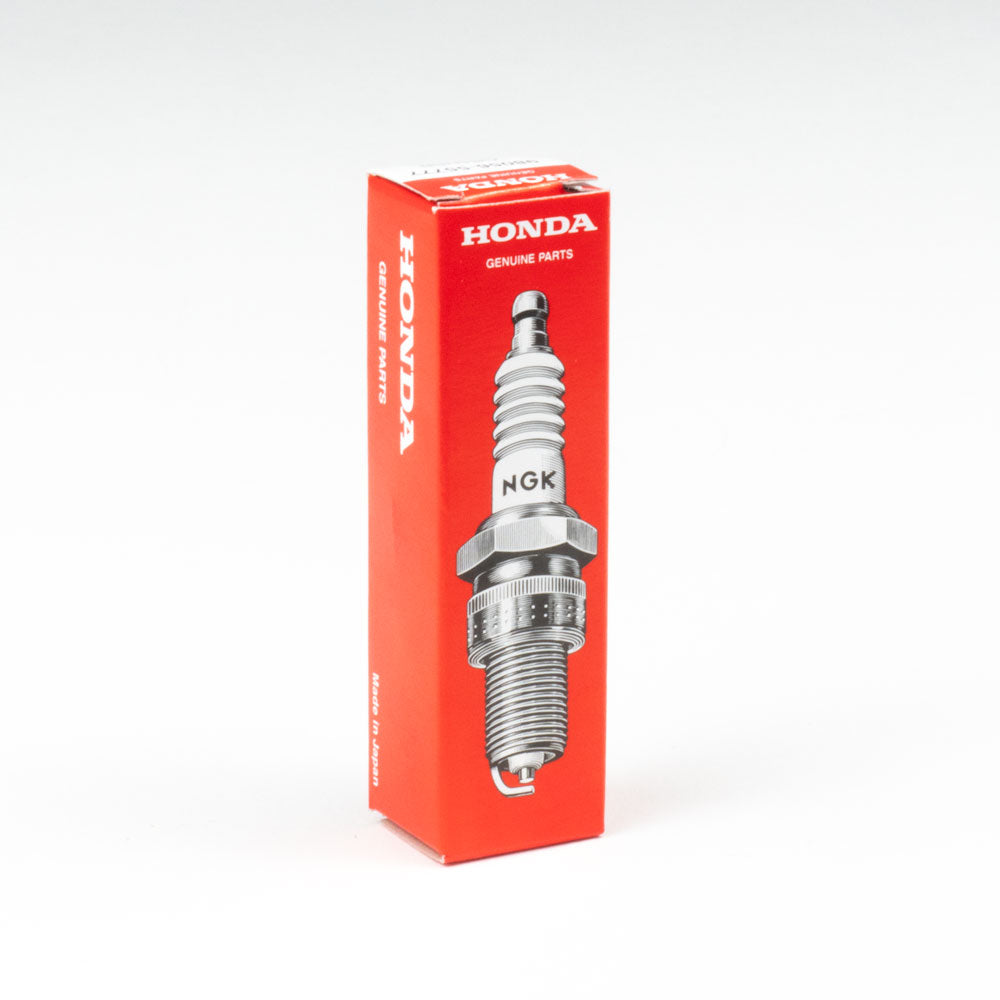 SPARK PLUG (HD5384631) – Trak-Star